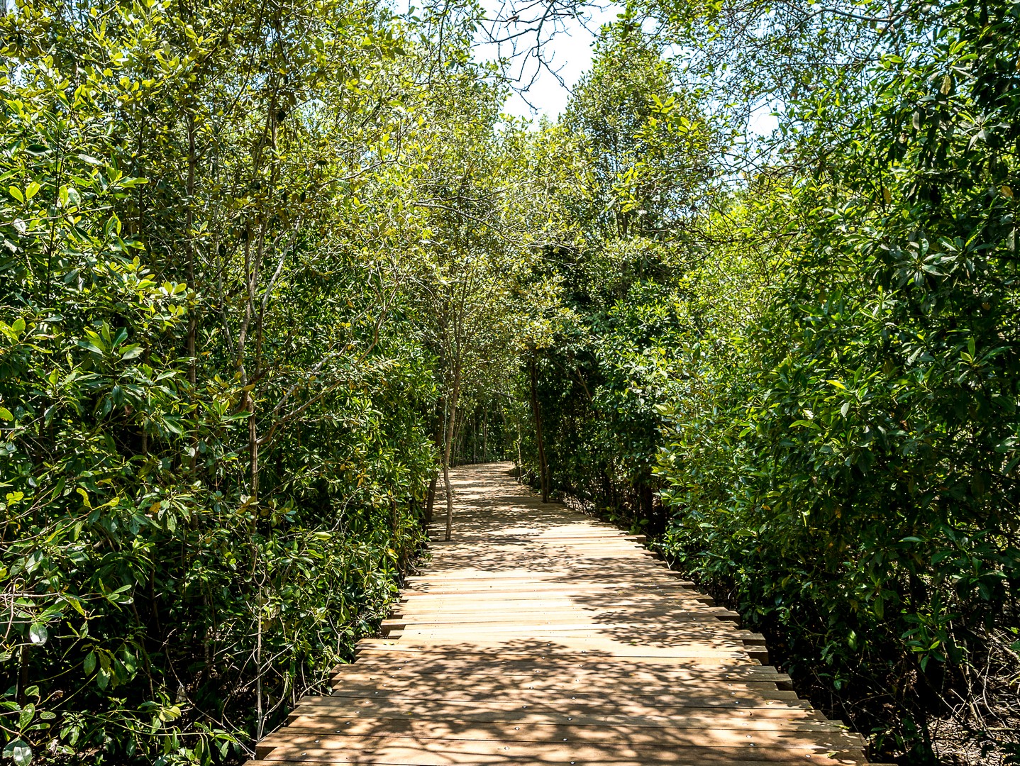 Visiter Singapour et côté nature : Pulau Ubin