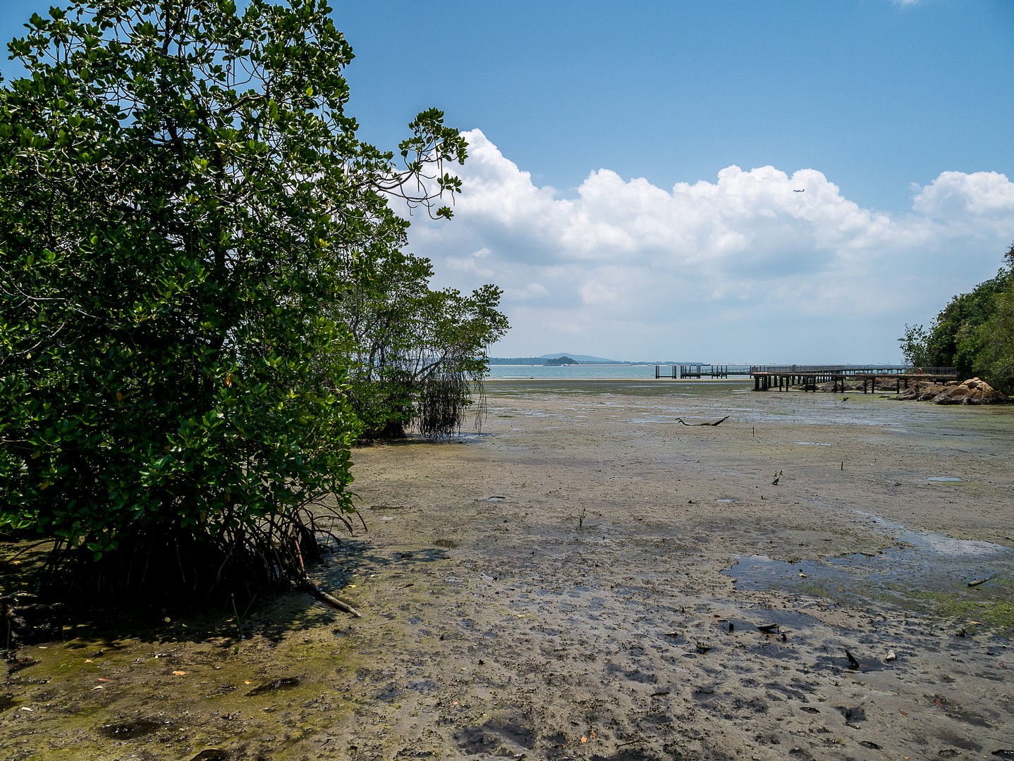 Visiter Singapour et côté nature : Pulau Ubin