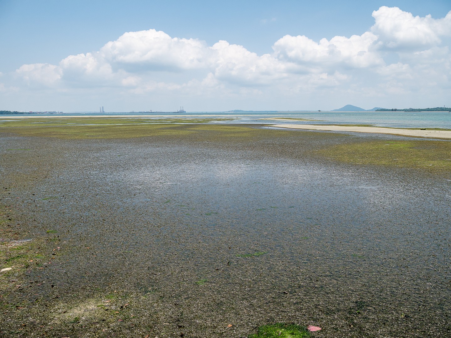 Visiter Singapour et côté nature : Pulau Ubin