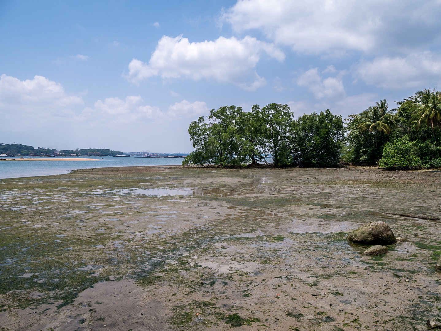 Visiter Singapour et côté nature : Pulau Ubin
