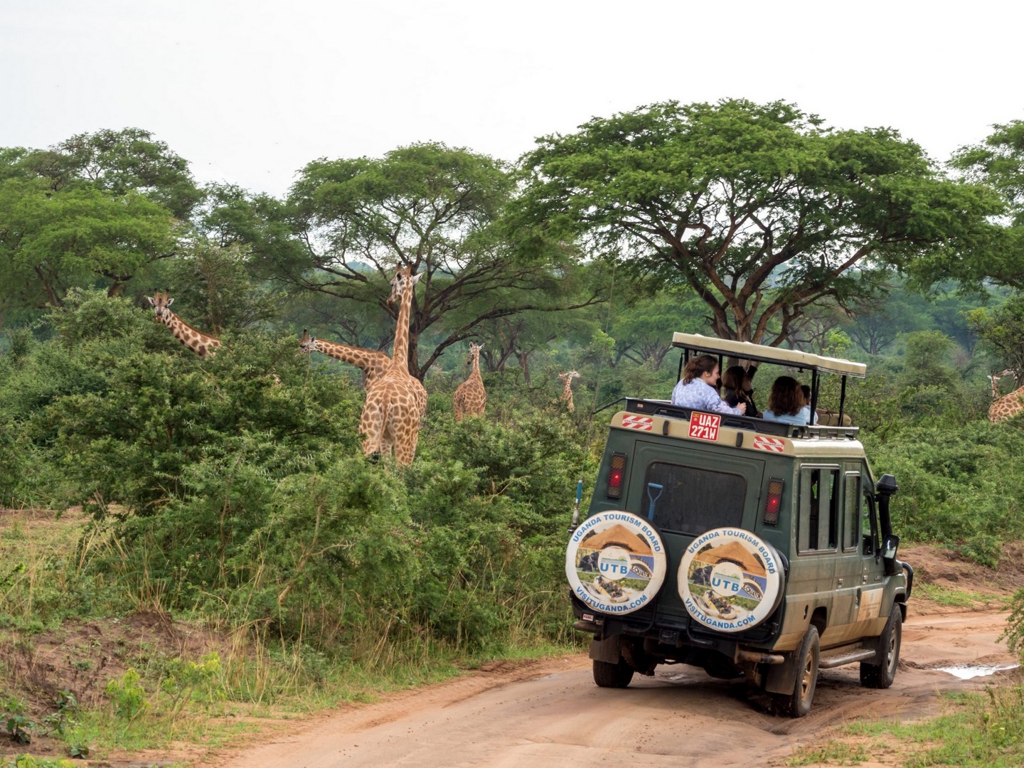Voyager en Ouganda : Safari au Parc National de Murchison Falls