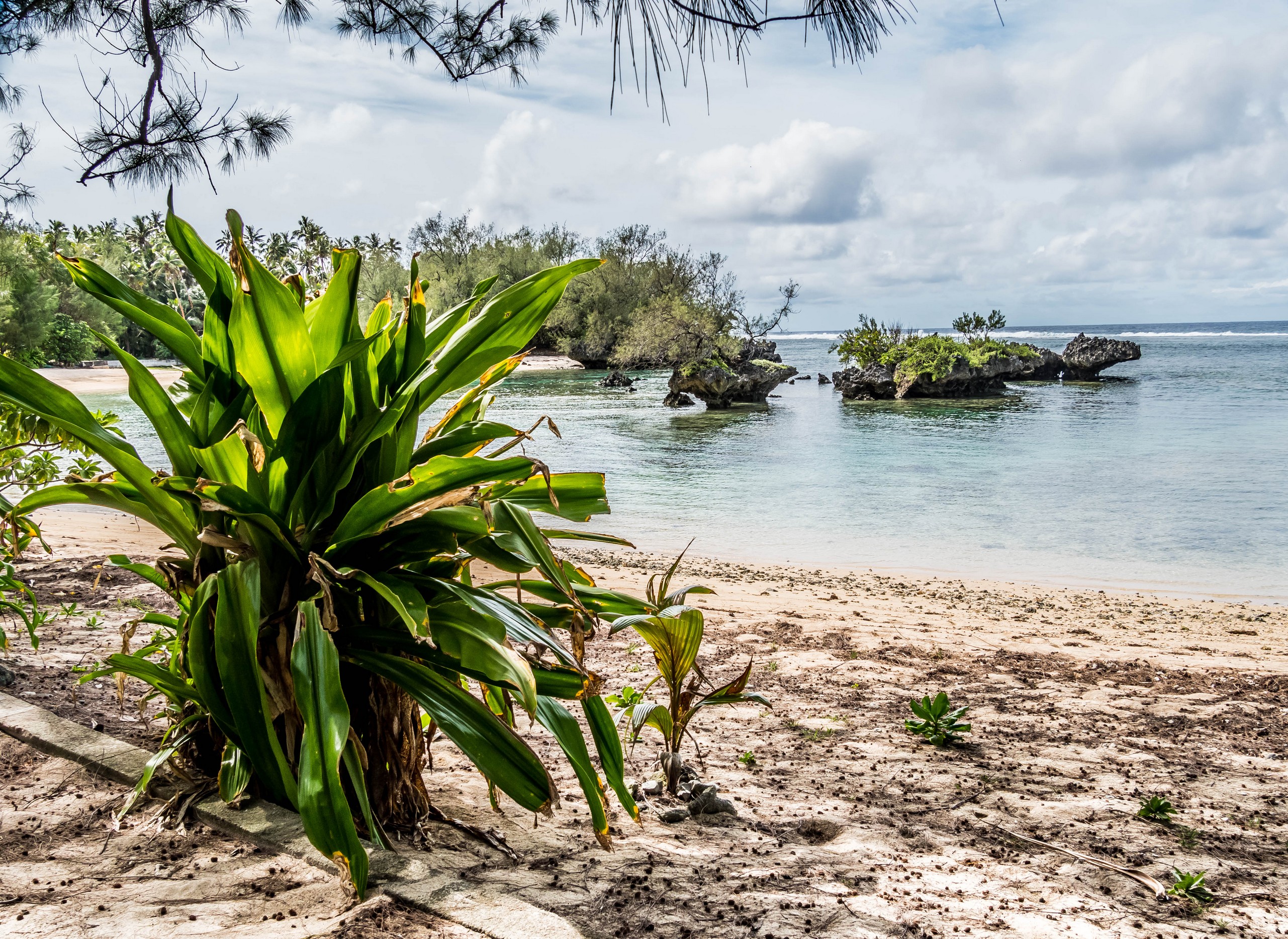 Chroniques de Polynésie : Rimatara, petit bijou des Australes