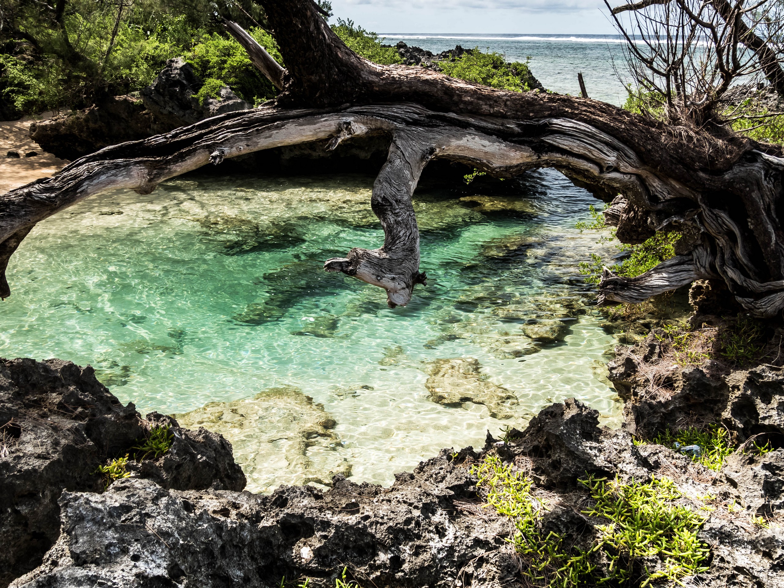 Chroniques de Polynésie : Rimatara, petit bijou des Australes