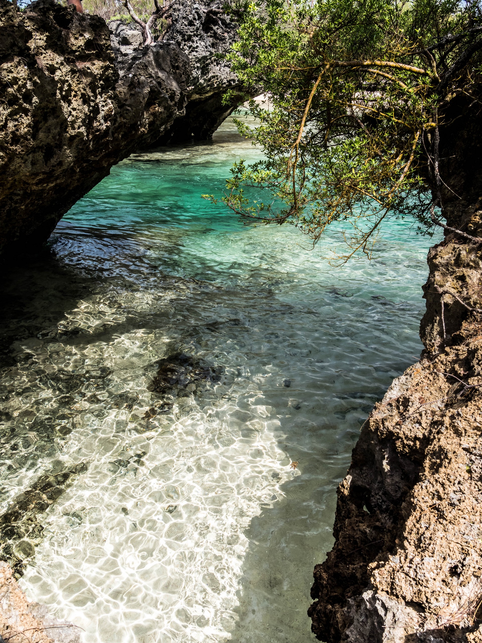 Chroniques de Polynésie : Rimatara, petit bijou des Australes