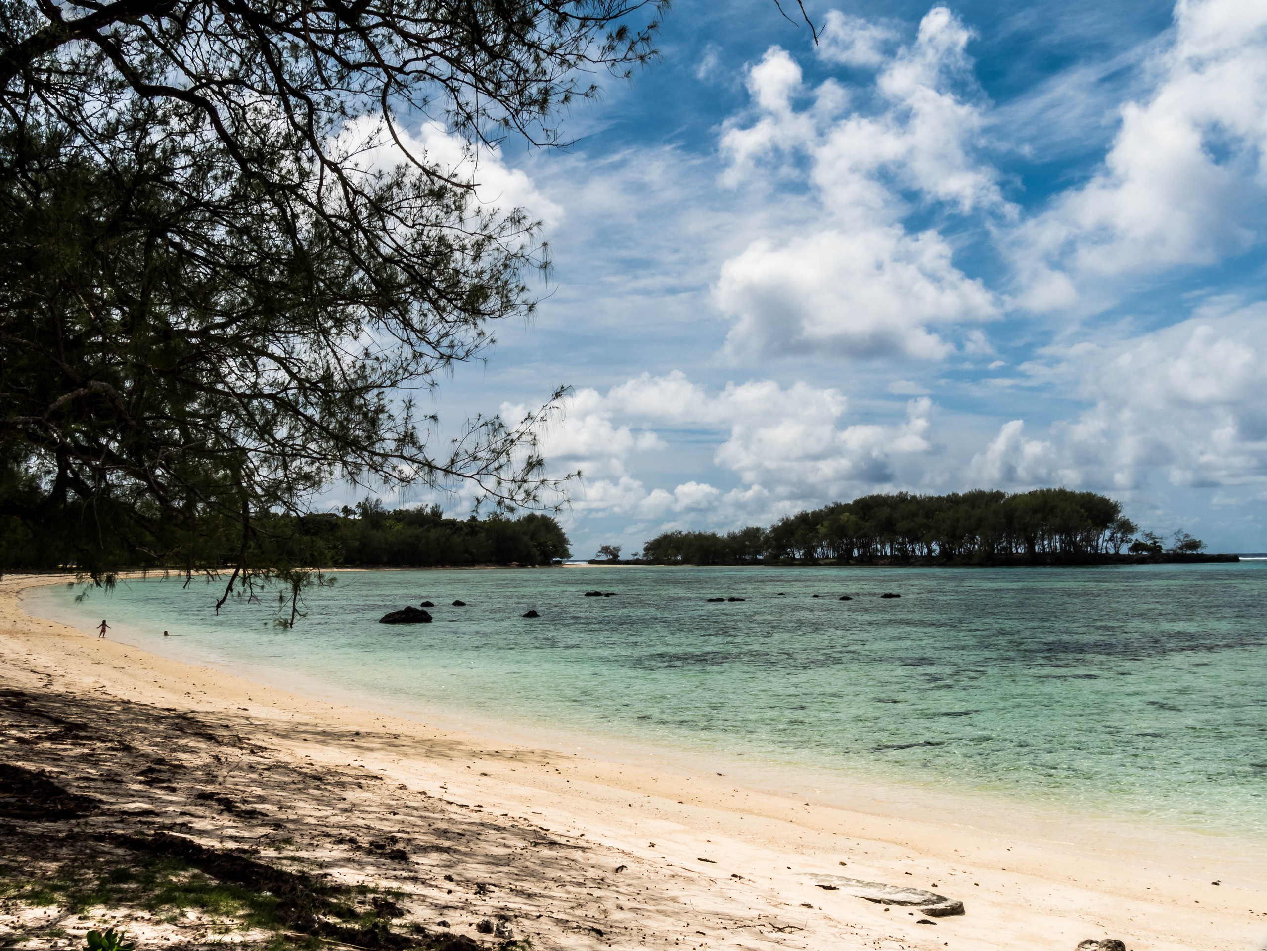 Chroniques de Polynésie : Rimatara, petit bijou des Australes
