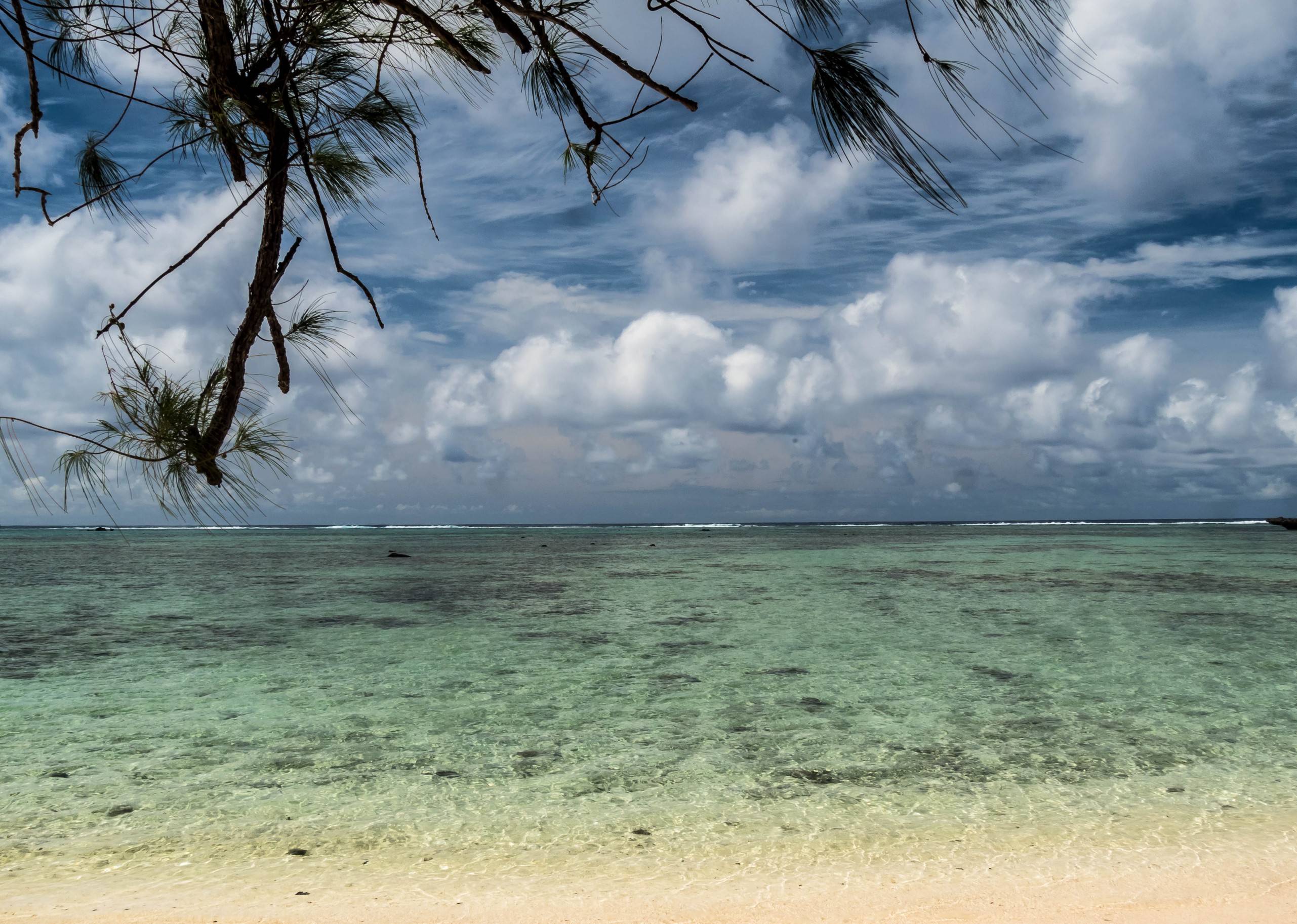 Chroniques de Polynésie : Rimatara, petit bijou des Australes