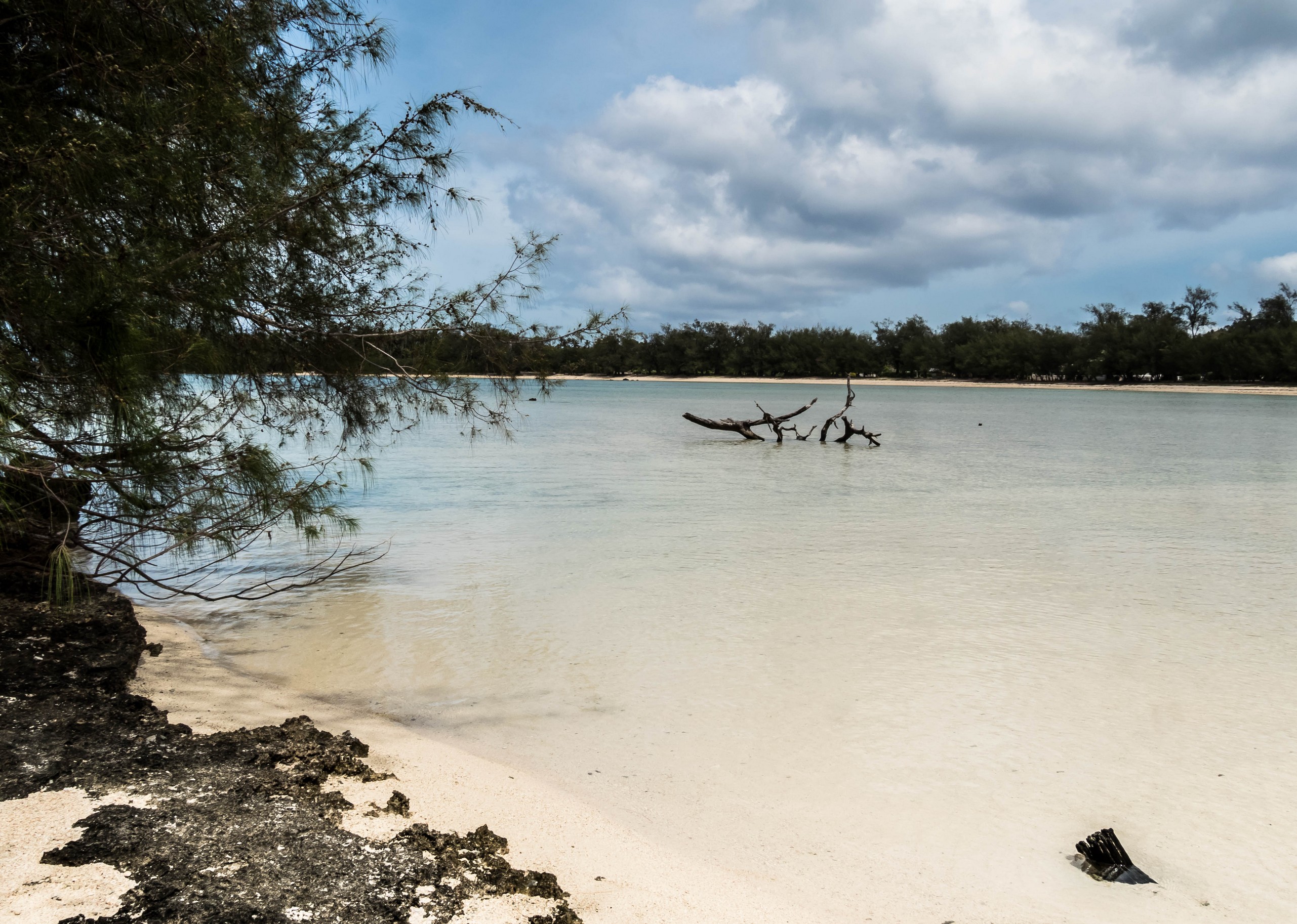 Chroniques de Polynésie : Rimatara, petit bijou des Australes