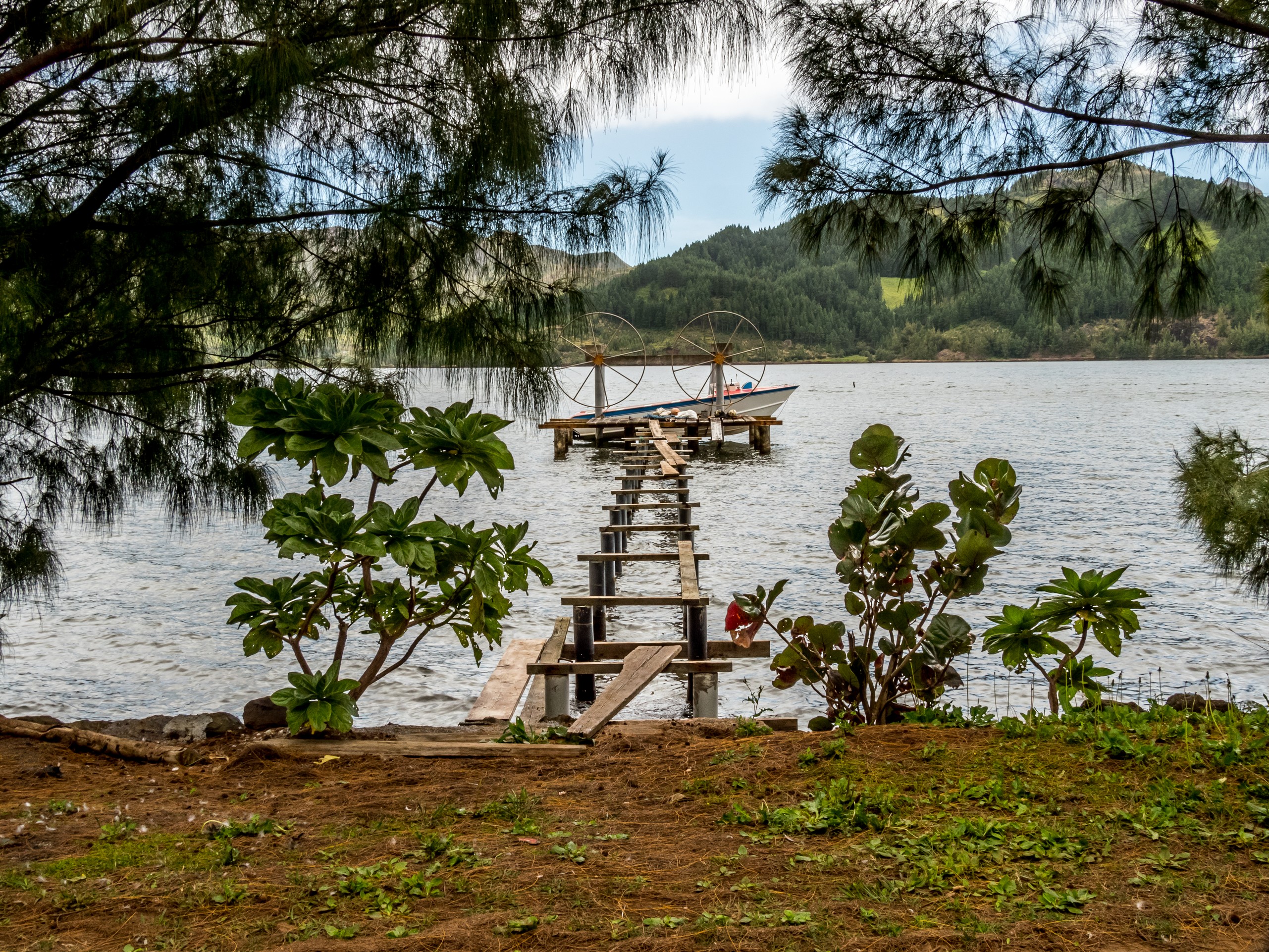 Chroniques de Polynésie : le jour où j'ai enfin visité Rapa Iti