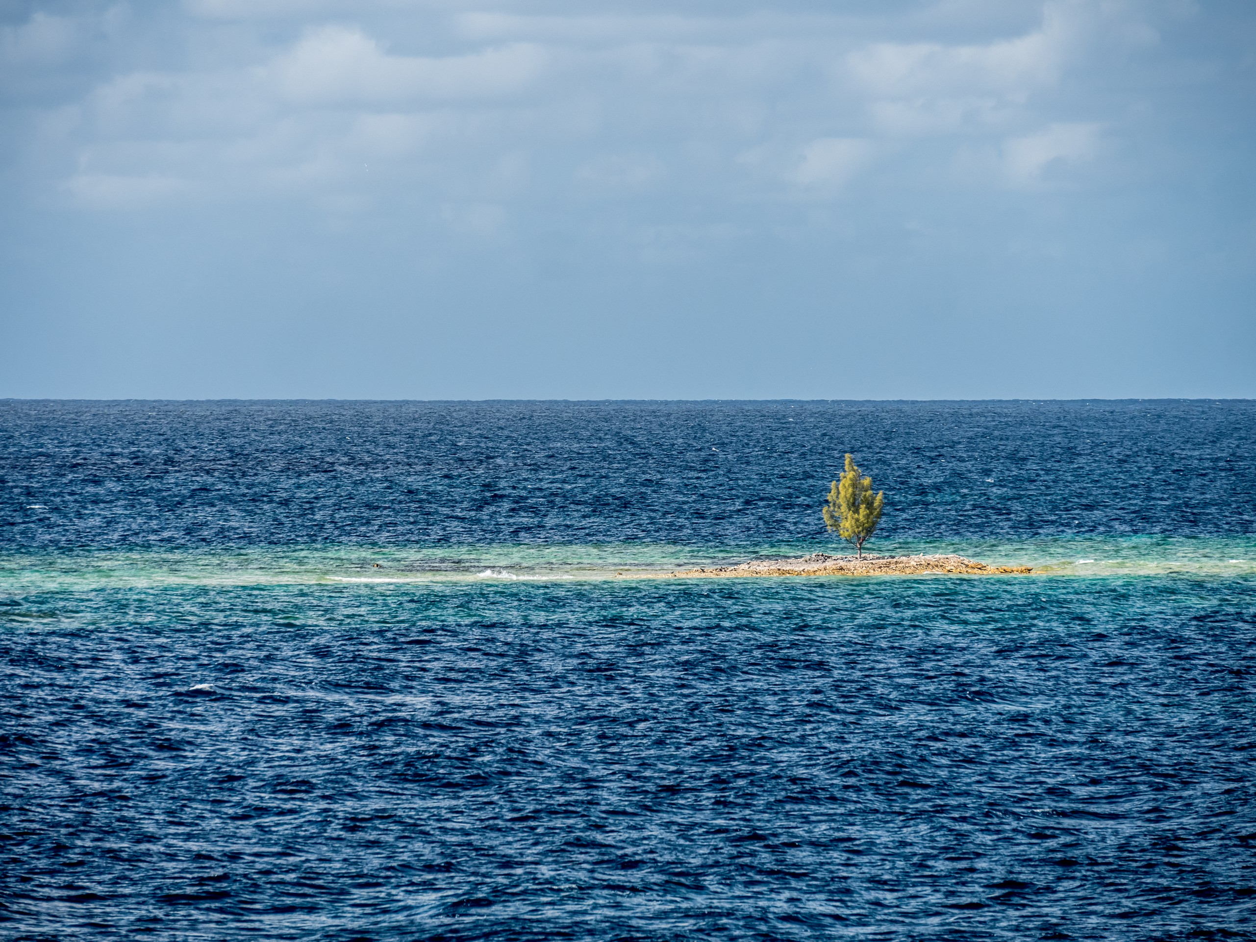 Chroniques de Polynésie : le jour où j'ai enfin visité Rapa Iti