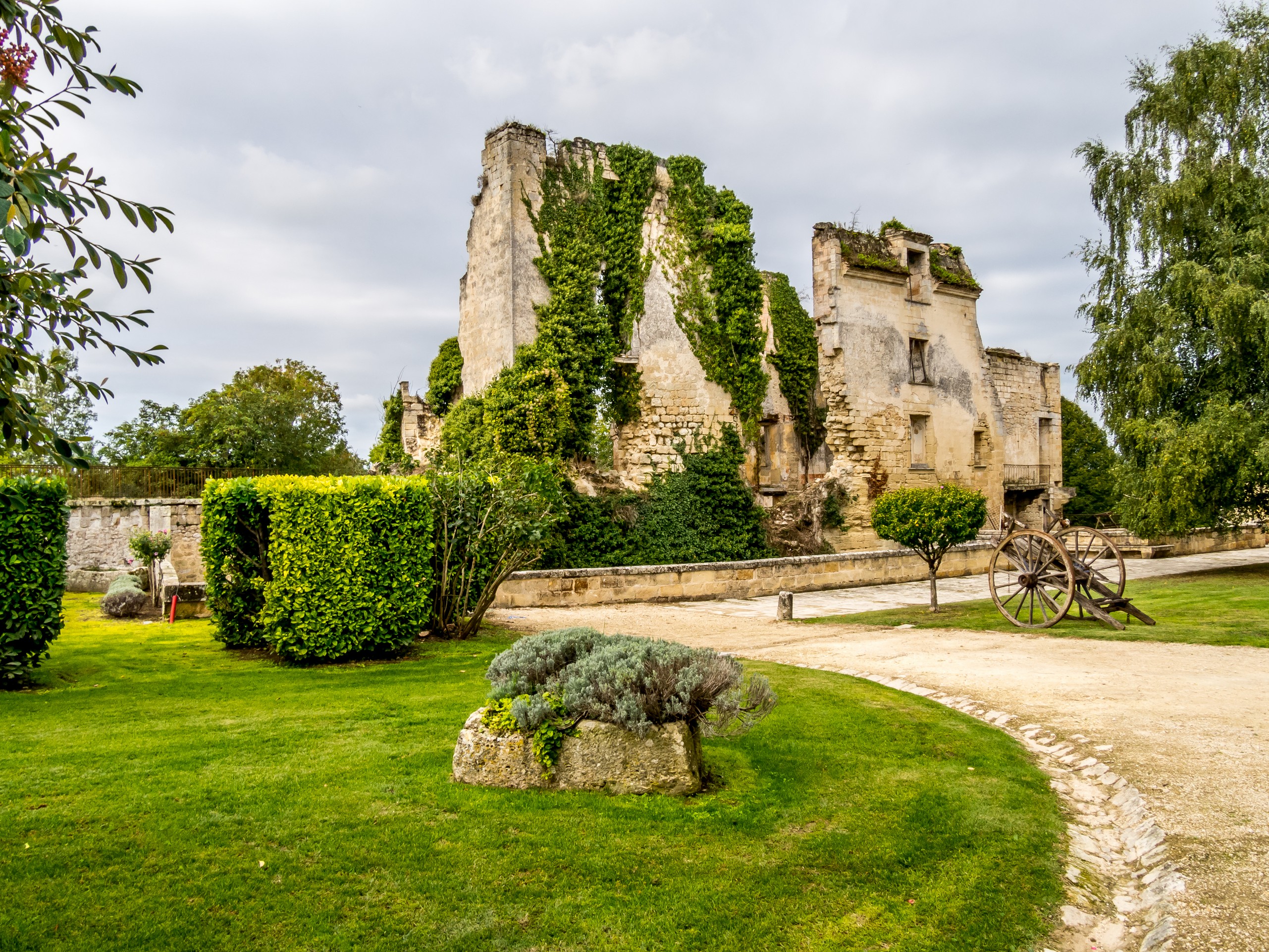 Au bonheur des vins de Castillon Côtes de Bordeaux