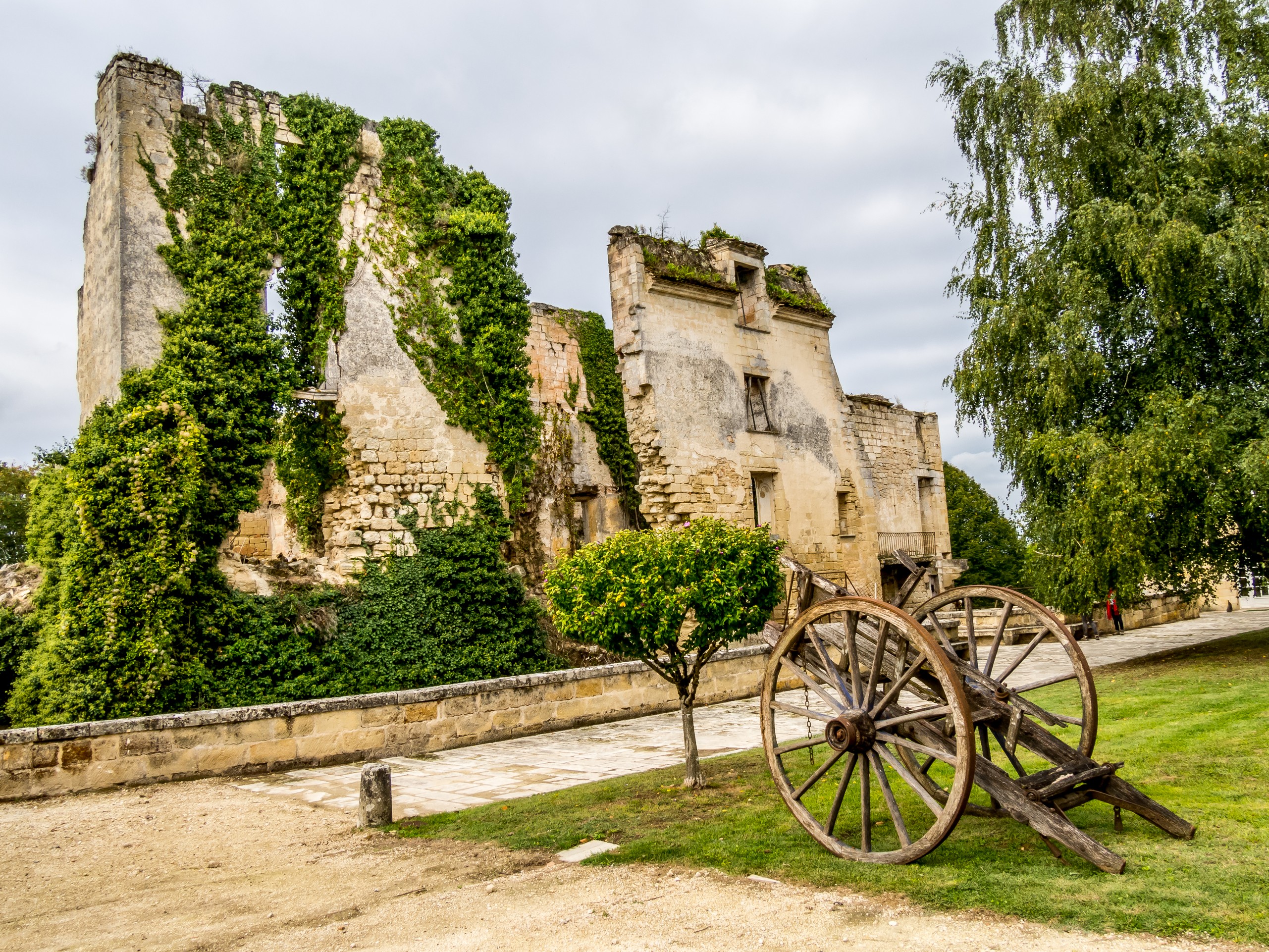 Au bonheur des vins de Castillon Côtes de Bordeaux