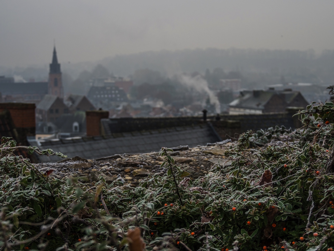 Visiter Mons, la capitale culturelle wallonne