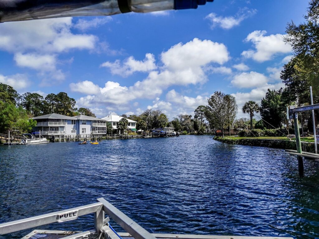 Excursion à l'ouest de la Floride : les lamantins de Crystal River ...