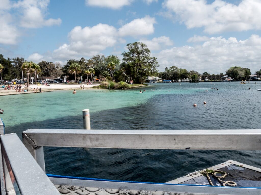 Excursion à l'ouest de la Floride : les lamantins de Crystal River ...
