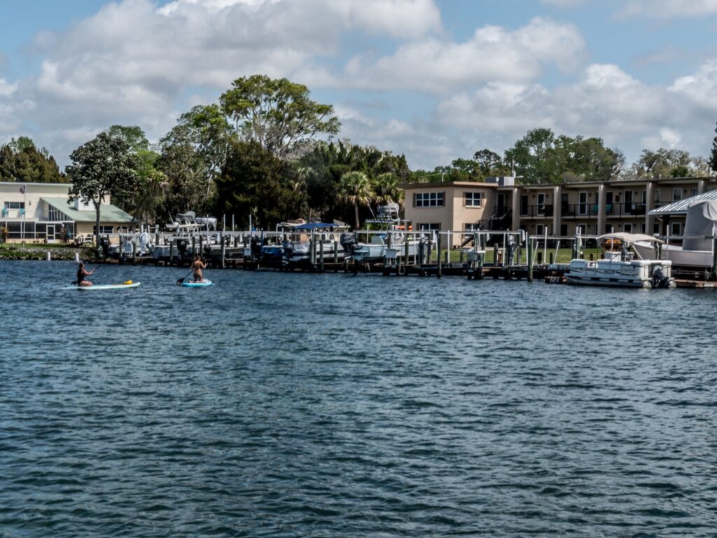 Excursion à l'ouest de la Floride : les lamantins de Crystal River ...