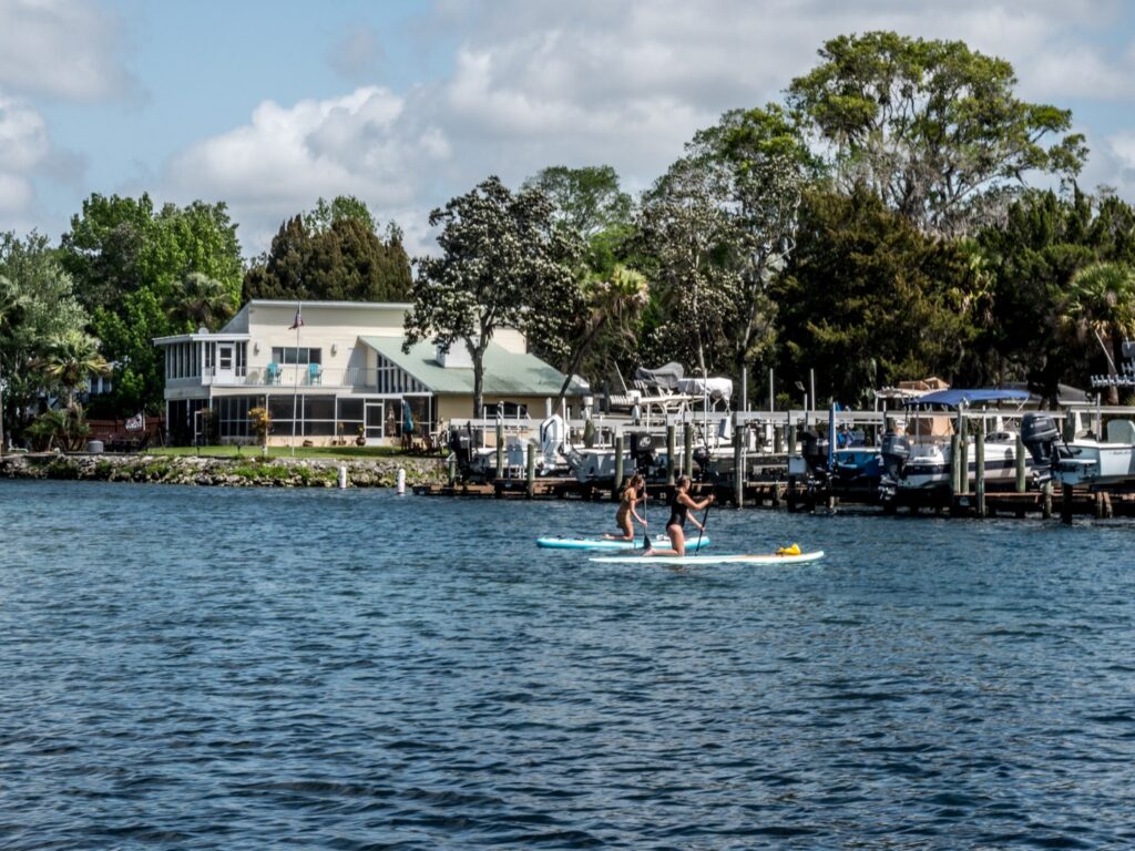 Excursion à l'ouest de la Floride : les lamantins de Crystal River ...