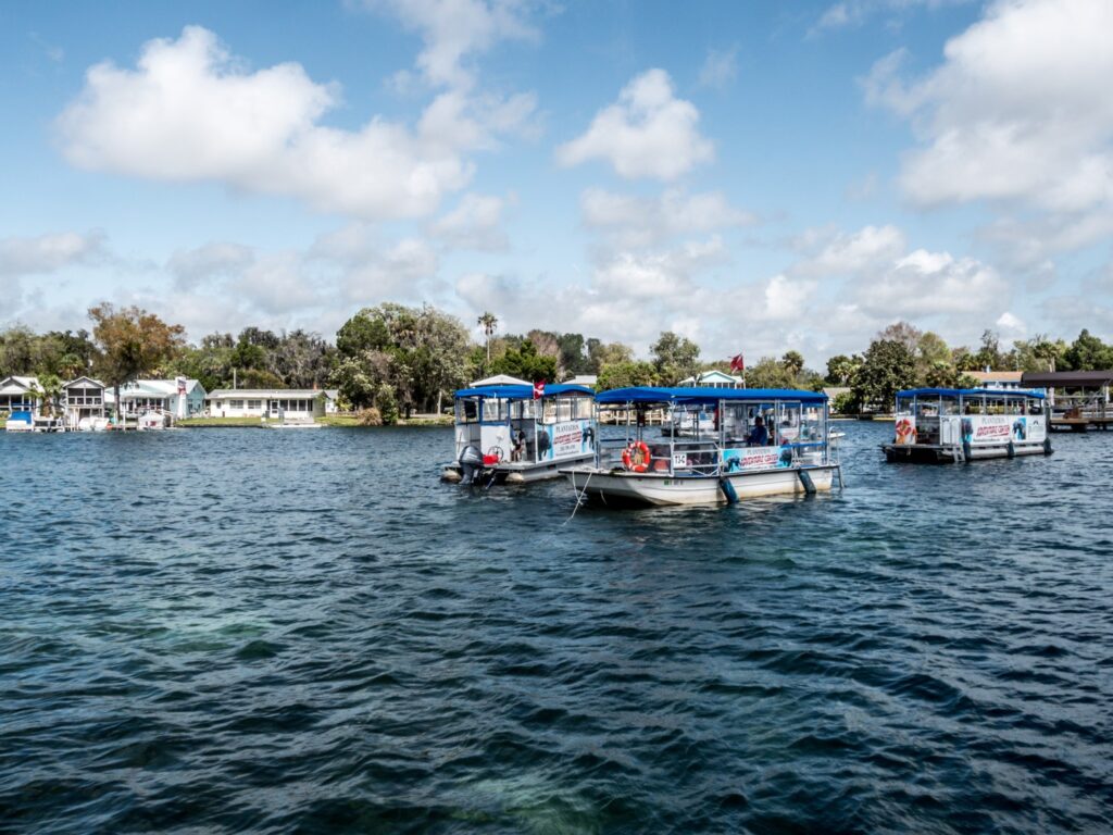 Excursion à l'ouest de la Floride : les lamantins de Crystal River ...